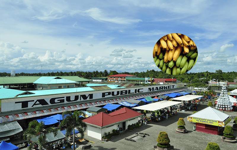 City of Tagum